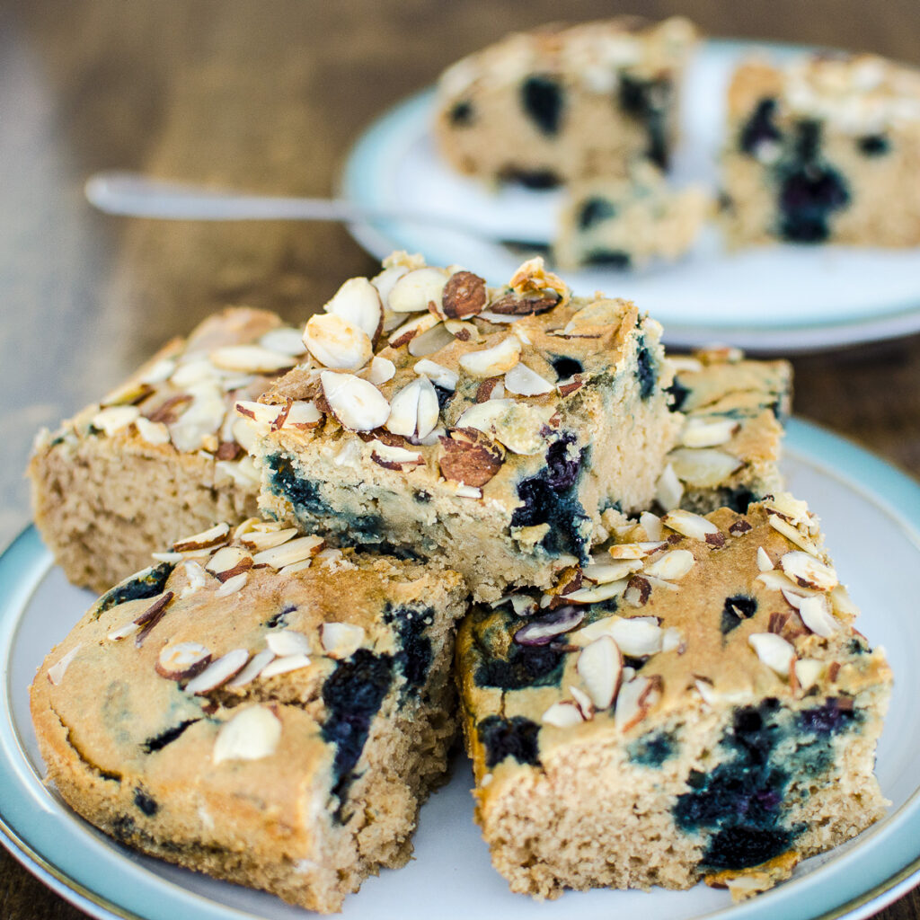 Blueberry Snack Cake - Vegan and Gluten-Free | Veggie Primer